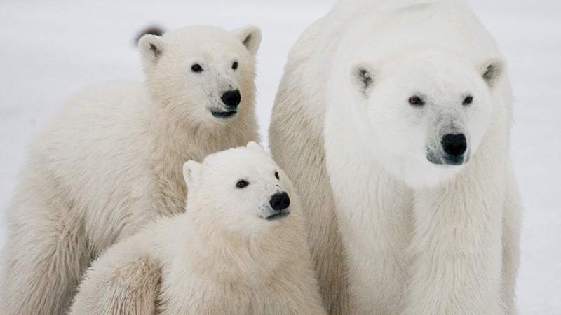 The North | The Canada Guide